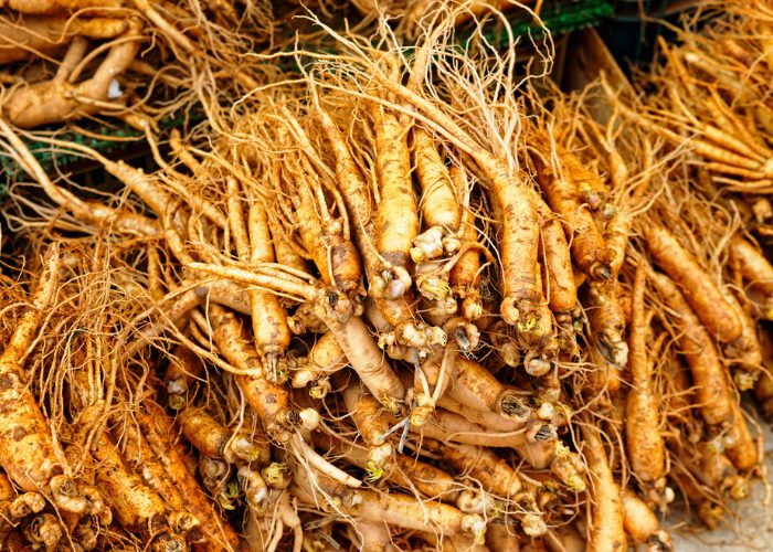 The Top 6 Ginseng Uses and 6 Amazing Ginseng Health Benefits