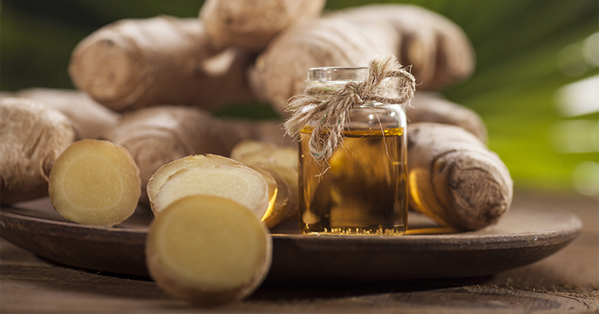 5 Fragrances Ginger Essential Oil Blends Well With | WellMe 5 Fragrances Ginger Essential Oil Blends Well With | WellMe